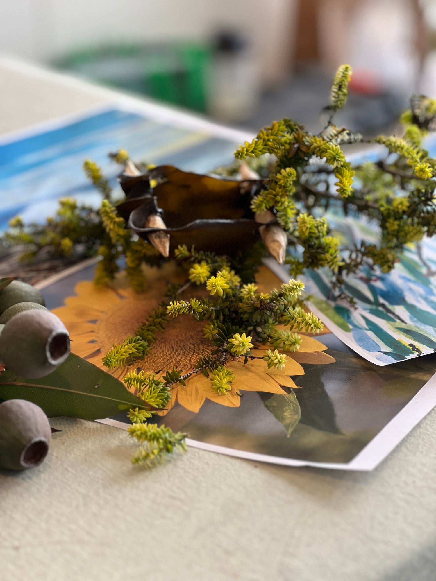 Emma Robertson Designs